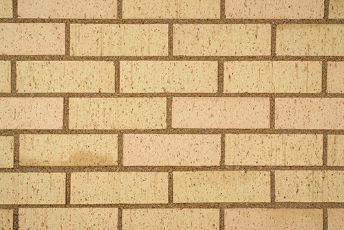 Buff Travertine Face Brick - Clayville Brick