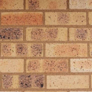 Golden Wheat Face Brick - Clayville Brick